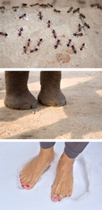 Actera-behandling - Actera Klinikken